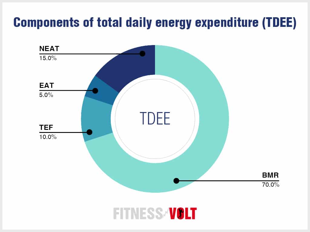 Quick Guide To Use TDEE Calculator World News Daily 24 Quick Guide To Use TDEE Calculator World News Daily 24