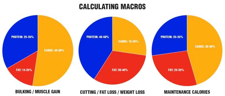 TDEE Calculator: Find Your Total Daily Energy Expenditure – Fitness Volt