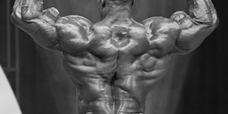 Workouts Archives – Page 16 of 37 – Fitness Volt