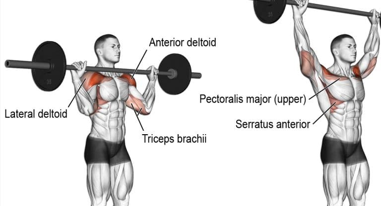 Military Press vs. Overhead Press vs. Shoulder Press vs. Push Press
