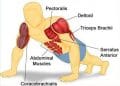 Deficit Push-Ups – Muscles Worked, How-To, Benefits, and Alternatives ...