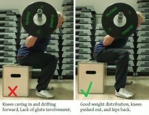 Regular Squats vs. Box Squats - Which Is Best For Building Powerful ...