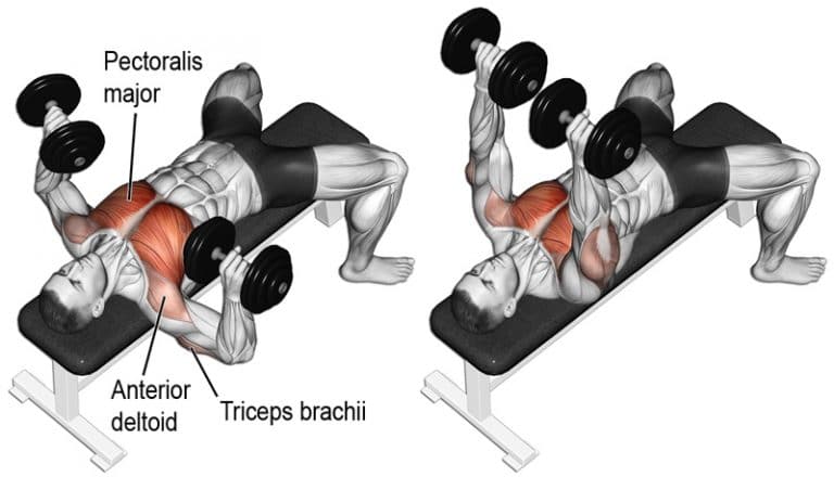 How To Do The Dumbbell Bench Press: Benefits, Performance, and ...