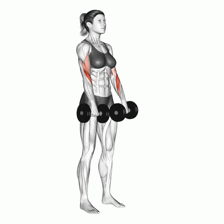 Biceps Curl Variations To Build Your Best Arms Ever – Fitness Volt