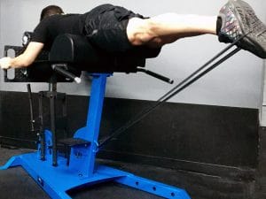 Reverse Hyperextension Guide — Muscles Worked, Variations And Benefits ...