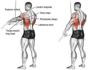 Do Straight Arm Pulldowns For Wider, More Powerful Lats – Fitness Volt