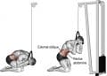 How To Do Cable Crunches The Right Way – Fitness Volt
