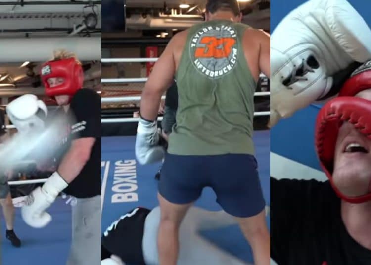 WATCH: MMA Fighter Delivers An Explosive Low Blow Seconds Into The ...