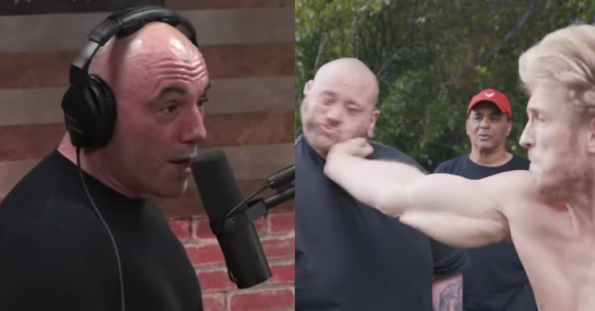 Joe Rogan Puts Logan Paul On Blast For 'Dumb' Slap Fighting Knockout ...