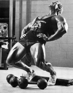 10 Best Hack Squat Alternative for Bigger, Stronger Legs – Fitness Volt