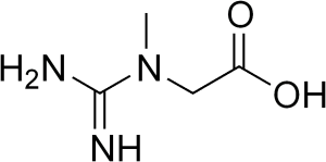 Creatine Calculator: Find Your Daily Creatine Intake – Fitness Volt