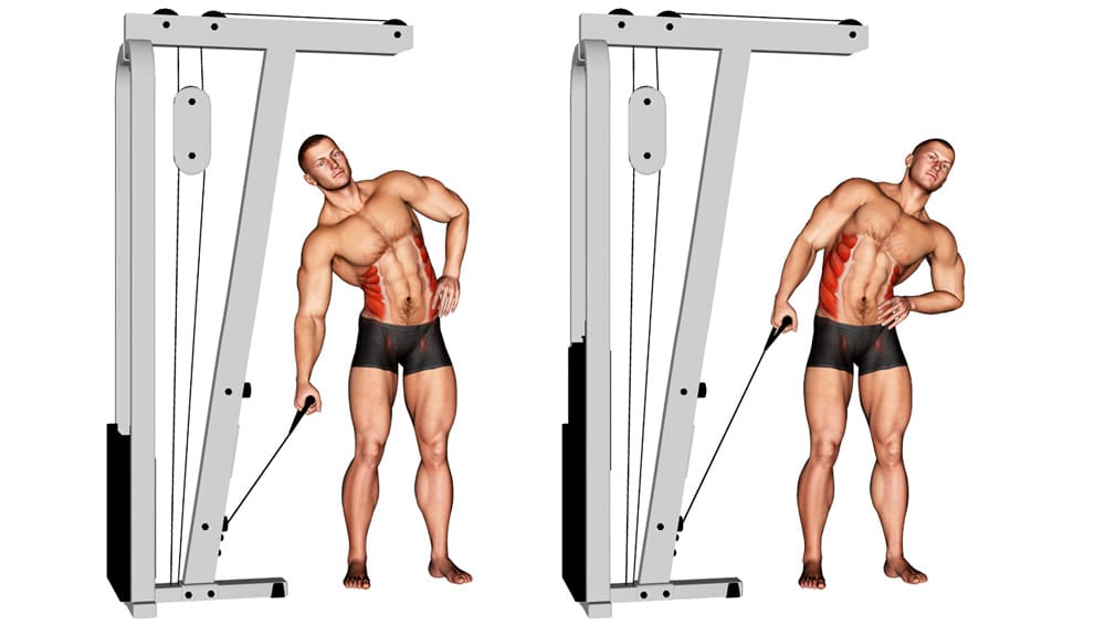 15 Best Cable Ab Exercises For Ripped Core – Fitness Volt