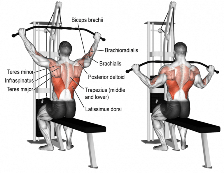 The 12 Best Teres Major and Teres Minor Exercises – Fitness Volt