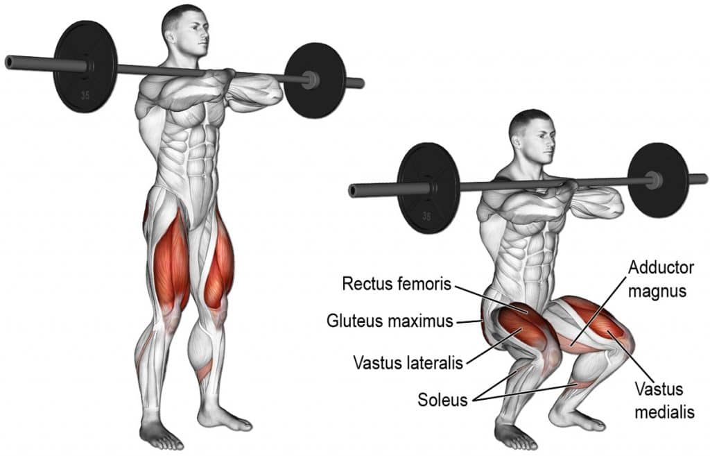 Front Squat vs Back Squat: Which Builds Stronger Legs & Core? – Fitness ...