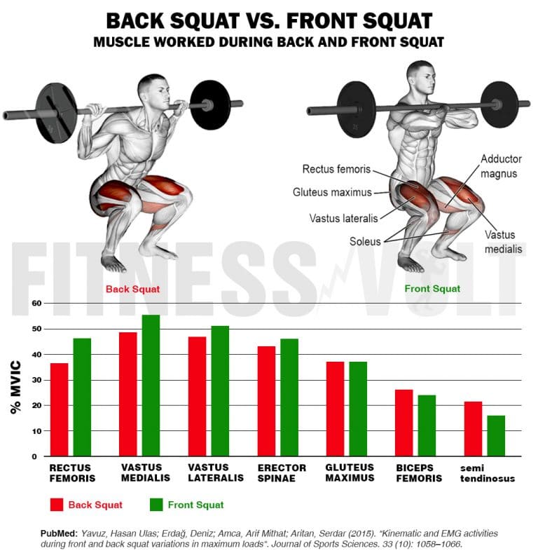 Front Squat vs. Back Squat – Which One Should You Do? – Fitness Volt
