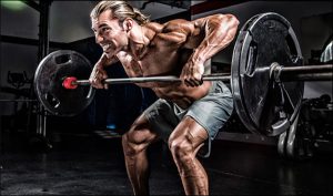 Kroc Rows Vs. Pendlay Rows – Which One Is Best? – Fitness Volt