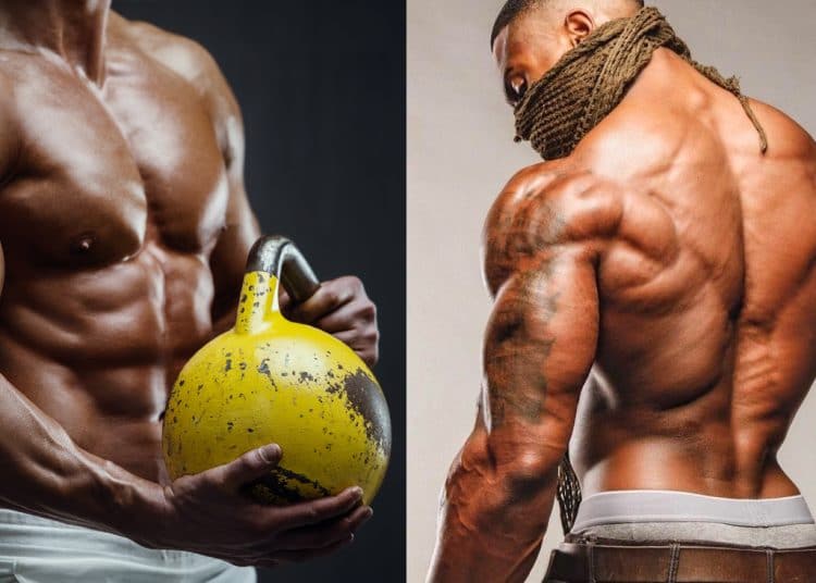 Top 10 Back Exercises For Building Width and Thickness – Fitness Volt