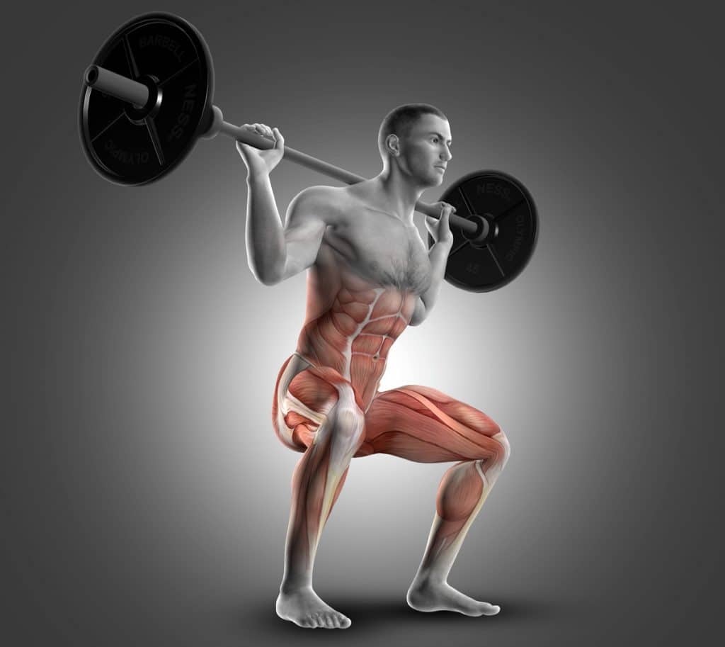 The 12 Best Squat Variations for Hypertrophy and Strength – Fitness Volt
