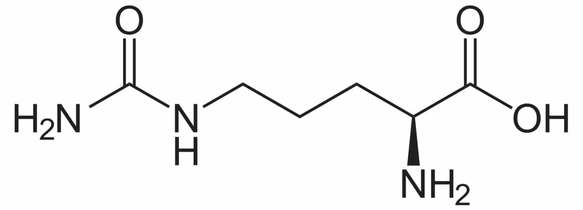 How to Make Your Own Pre-Workout Drink (Cheap and Easy) – Fitness Volt