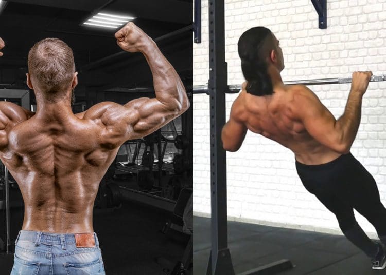 Face Pull Guide: Muscle Worked, Benefits, How-To And Variations ...