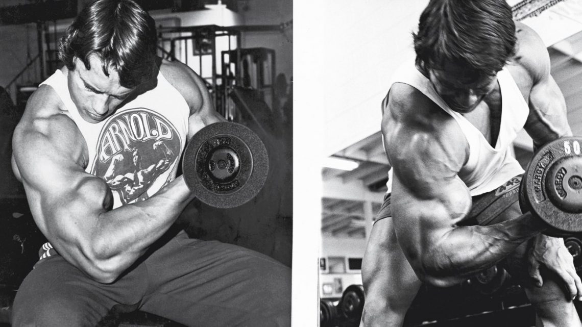 10 Best Long Head Biceps Exercises for Bigger Arms and A Higher Peak ...