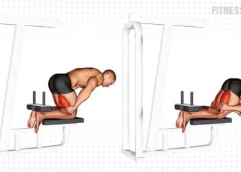 15 Best Leg Curl Alternatives for Stronger Hamstrings – Fitness Volt