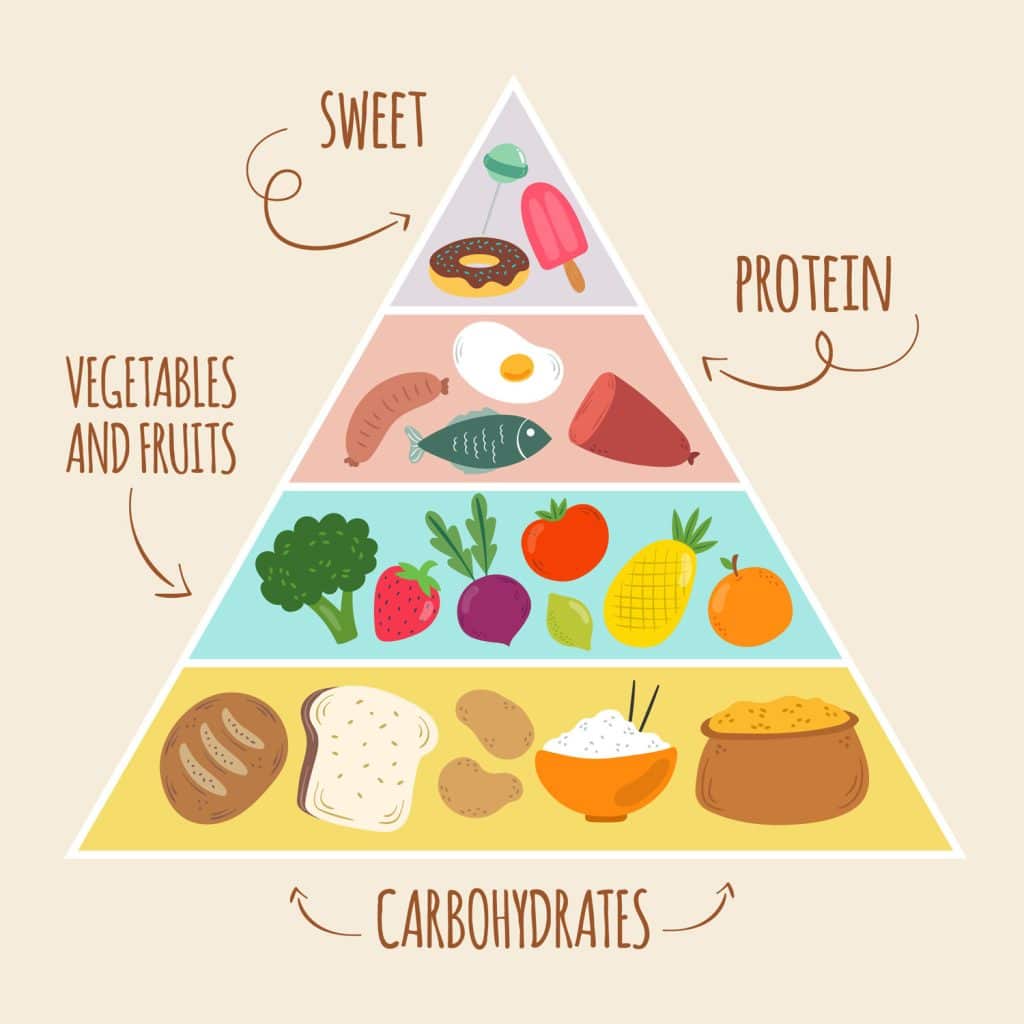 Metabolic Diets: What Are They, and How Do They Work – Fitness Volt
