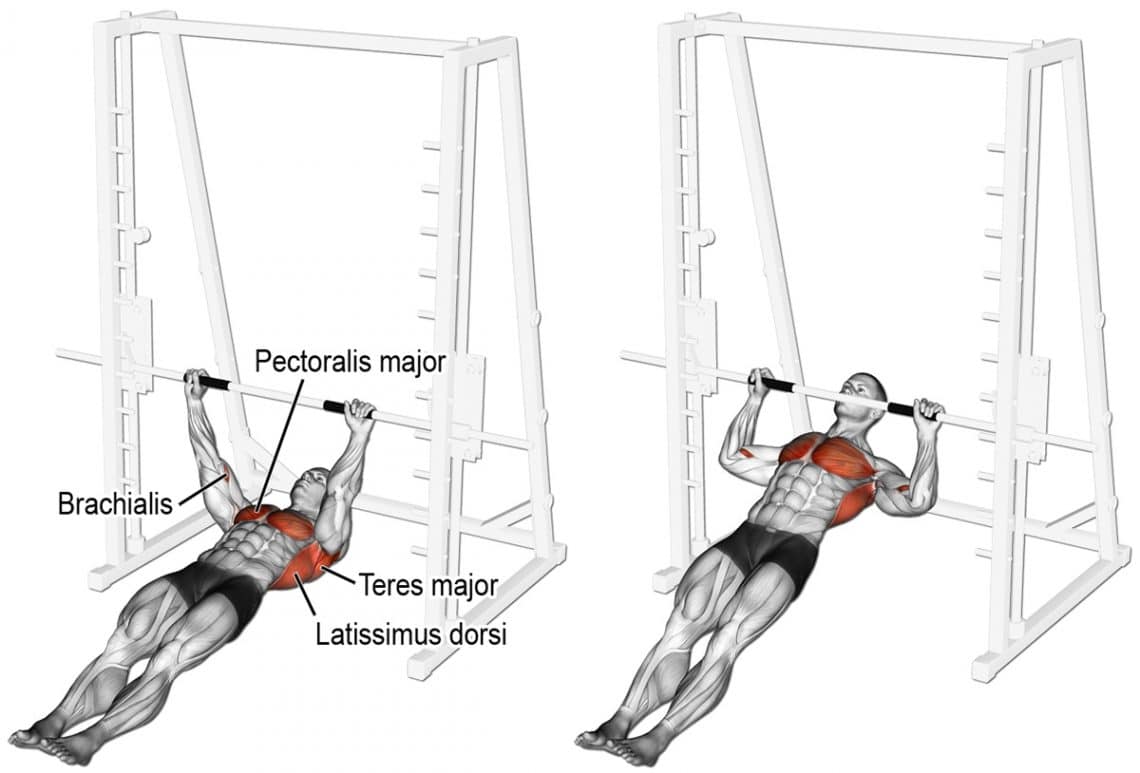 Horizontal Row Guide -- How-To, Muscles Worked, Variations, and ...
