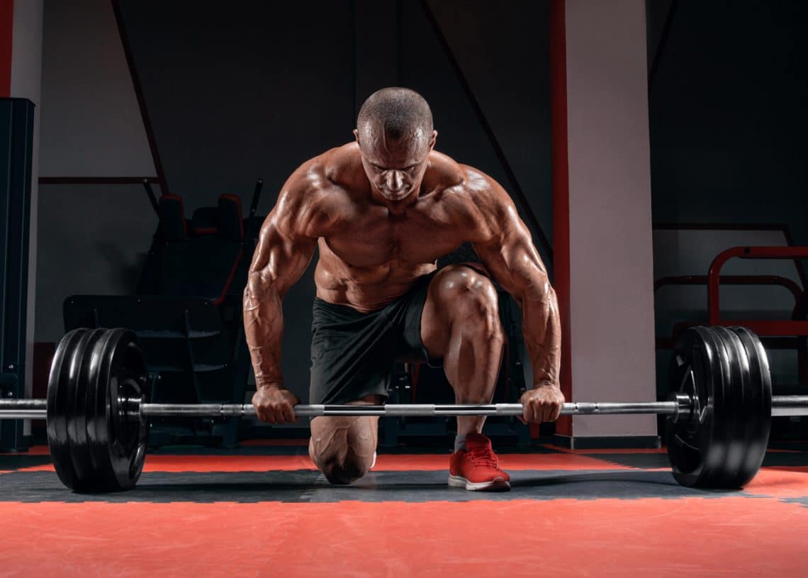 The Viking Workouts: Warrior Fit and Strong – Fitness Volt