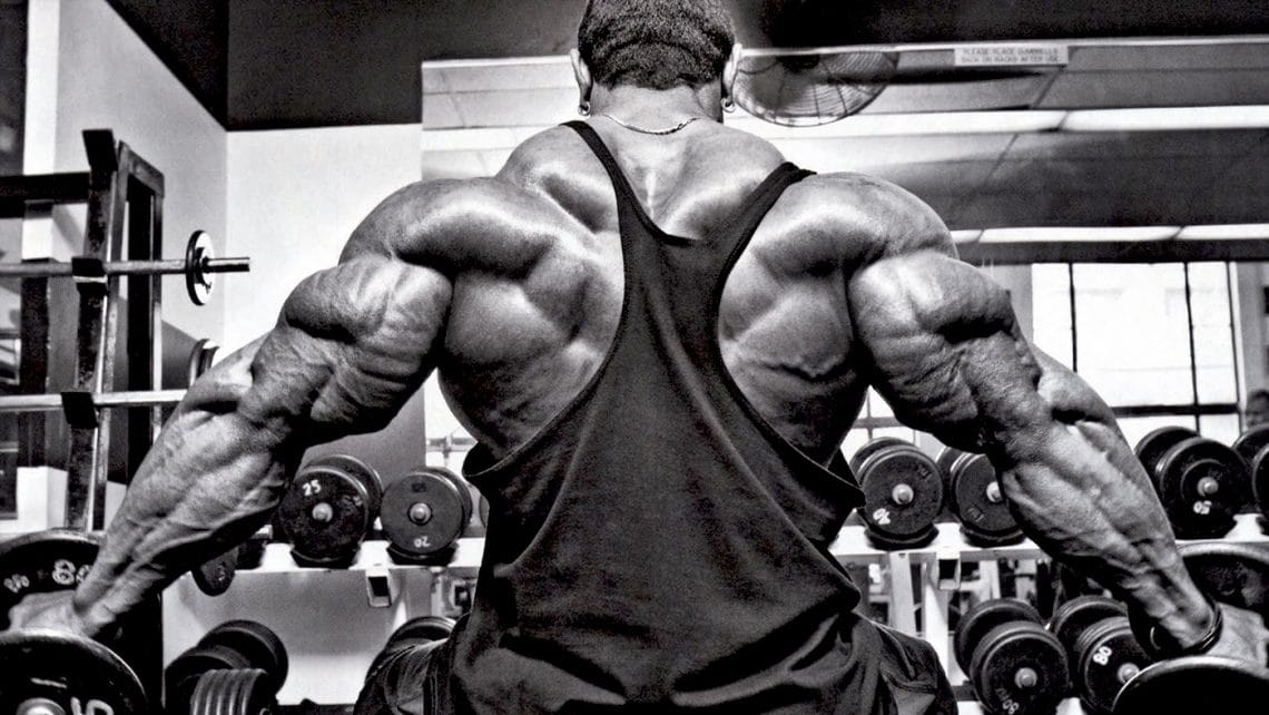 Effective Anconeus Exercises for Strength Training – Fitness Volt