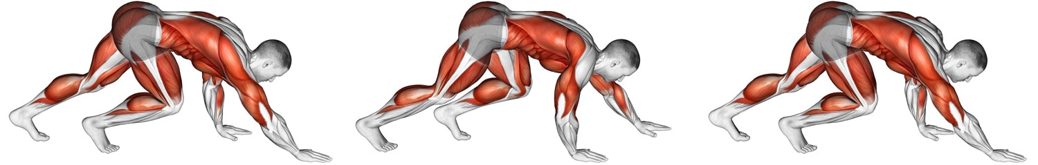 Total Body Strength: Master the Bear Crawl for Full-Body Fitness ...