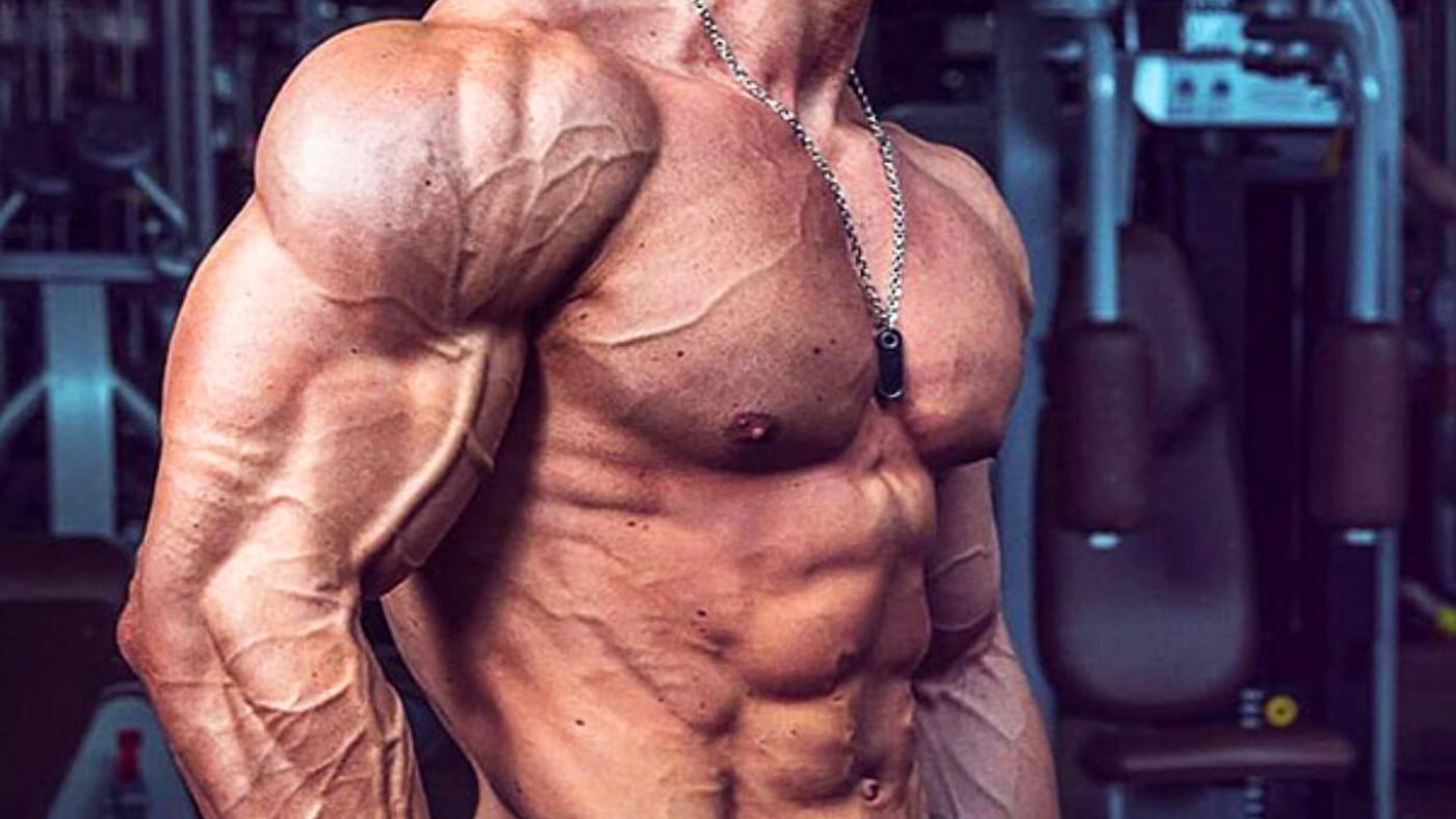 Get Bigger Shoulders Without Wrecking Your Joints Fitness Volt Get Bigger Shoulders Without Wrecking Your Joints Fitness Volt