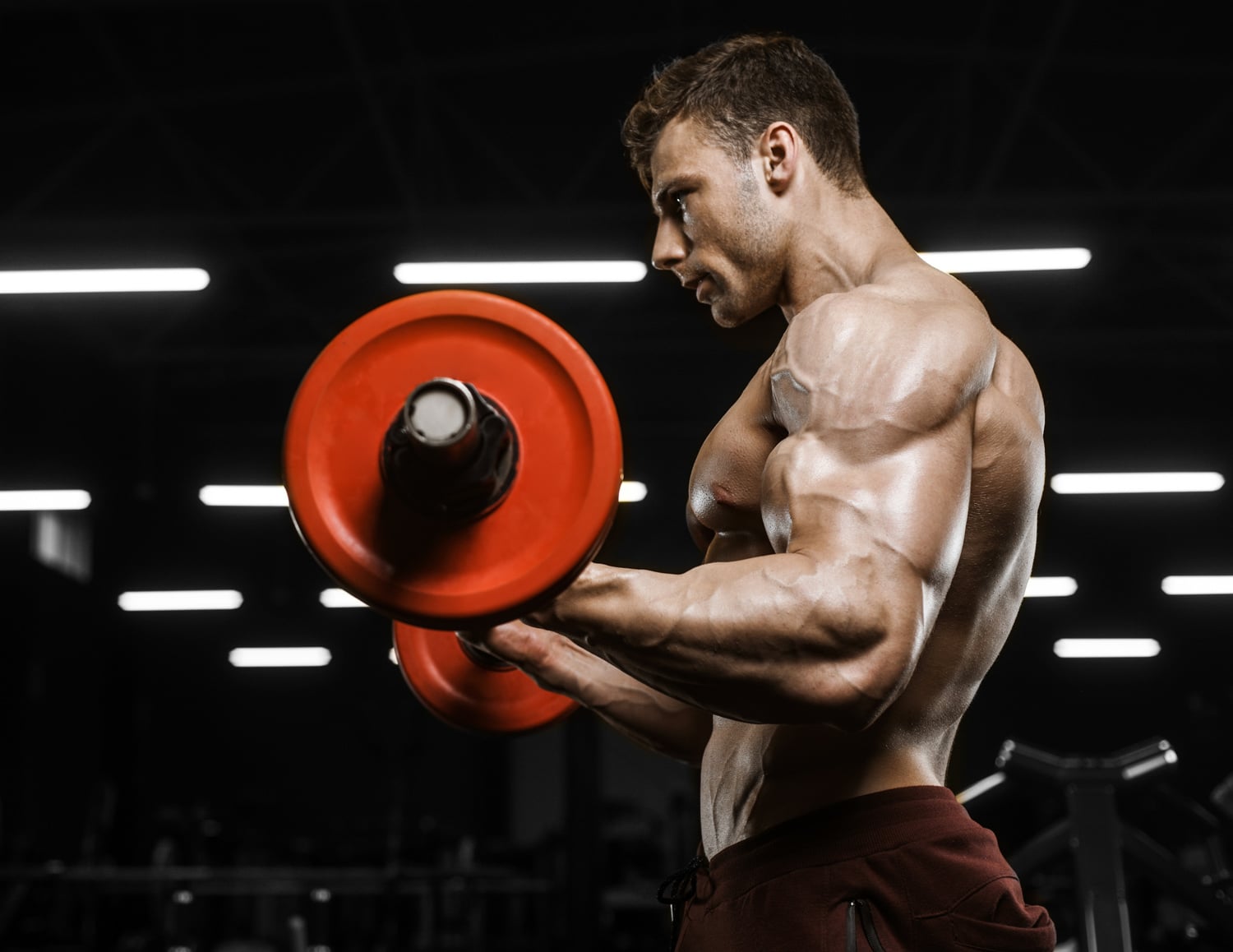 Best Bodybuilding Programs for Beginner, Intermediate, and Advanced ...