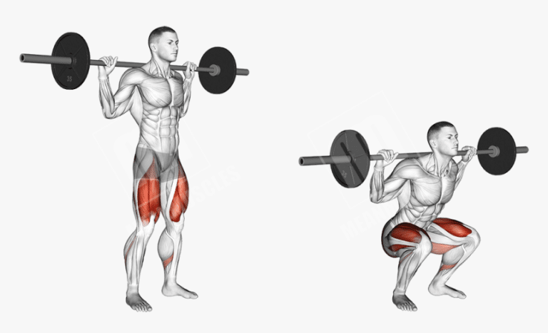 11 Best Back Squat Alternatives Exercises – Fitness Volt