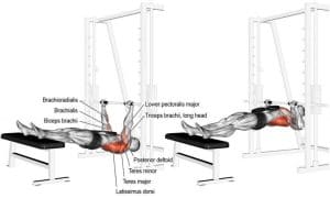 Inverted Row Alternatives for a Broader, More Muscular Back – Fitness Volt