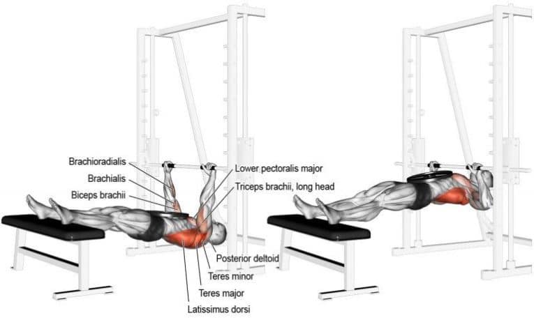 Inverted Row Alternatives for a Broader, More Muscular Back – Fitness Volt