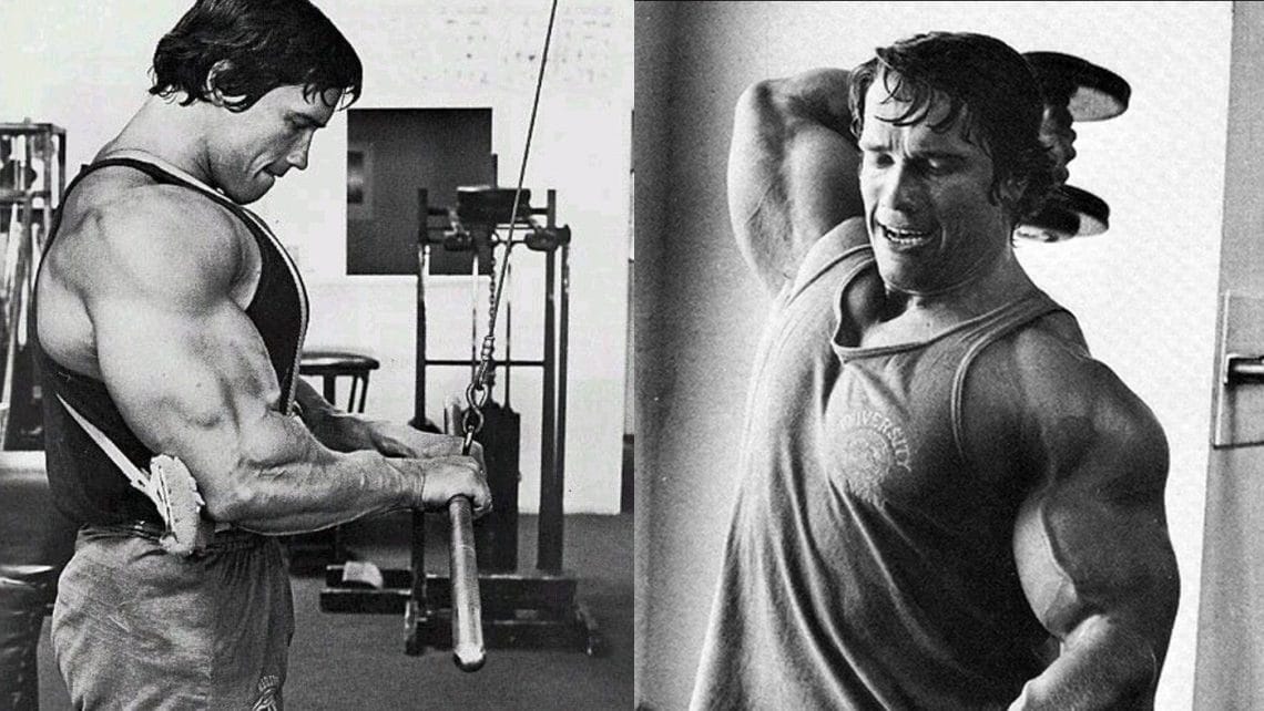 Ultimate Forearm Extensors Exercises for Strength Training – Fitness Volt