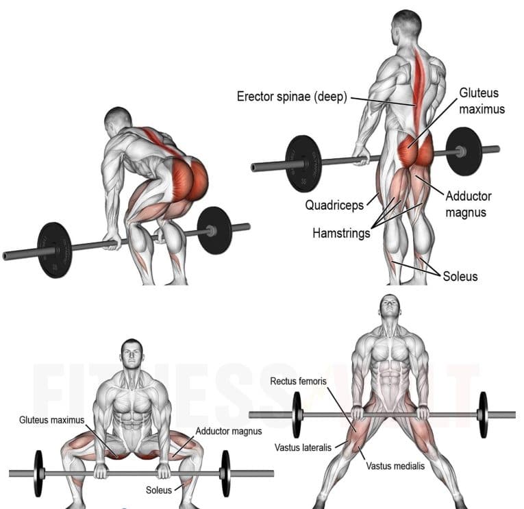 Sumo Deadlift Vs. Conventional Deadlifts: Which is Best? – Fitness Volt