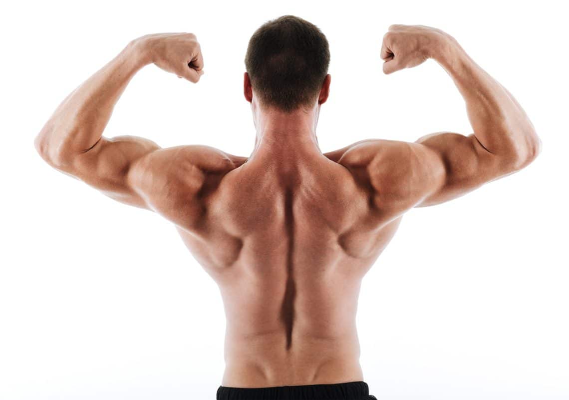 Build Bigger, More Muscular Back in Less Time – Fitness Volt