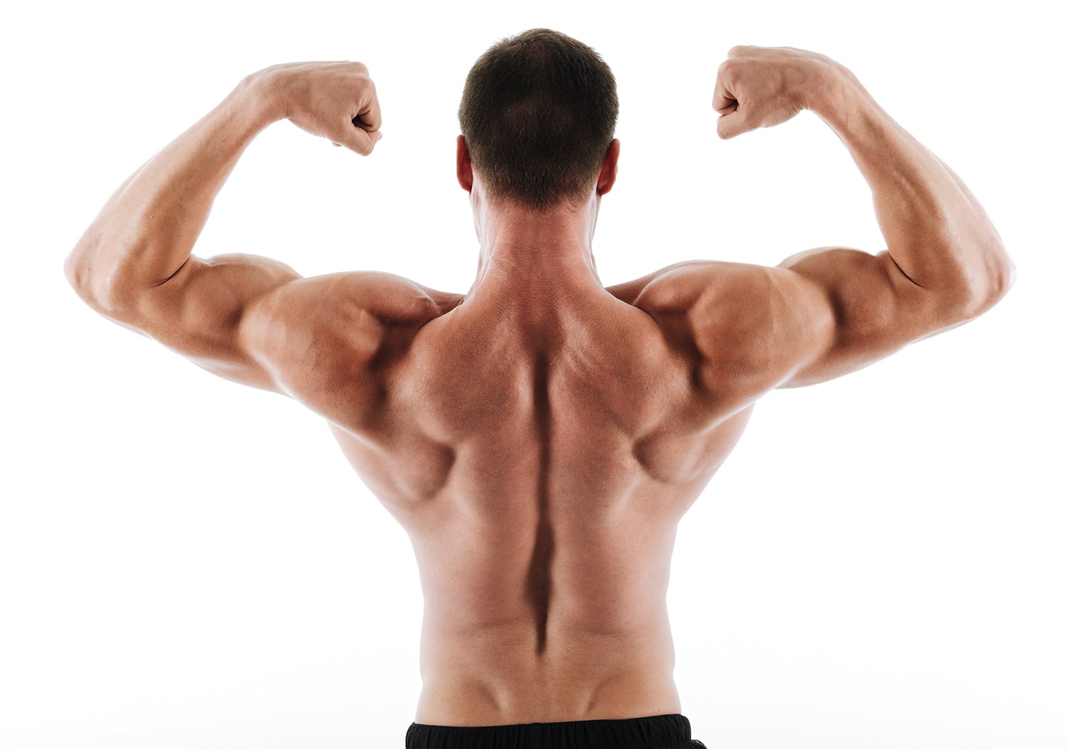 Build Bigger, More Muscular Back in Less Time – Fitness Volt