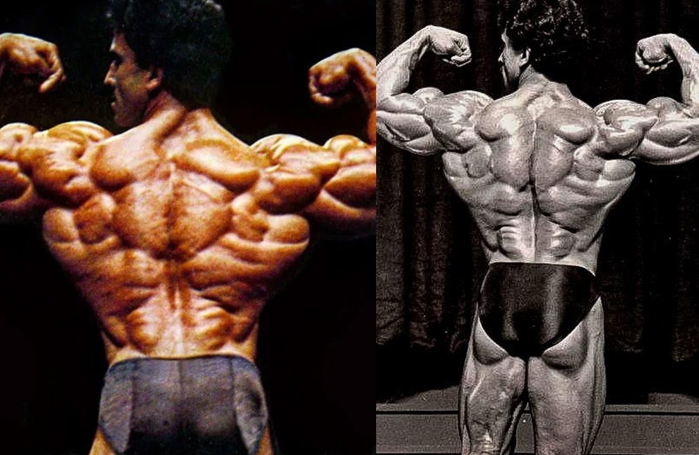27 Best Backs in Bodybuilding History – Fitness Volt