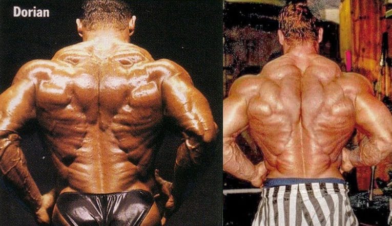 27 Best Backs in Bodybuilding History – Fitness Volt