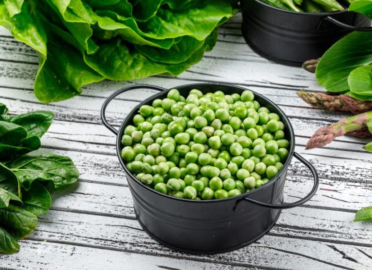 Transparent Labs Meal Replacement Powder Review in 2022 – Fitness Volt