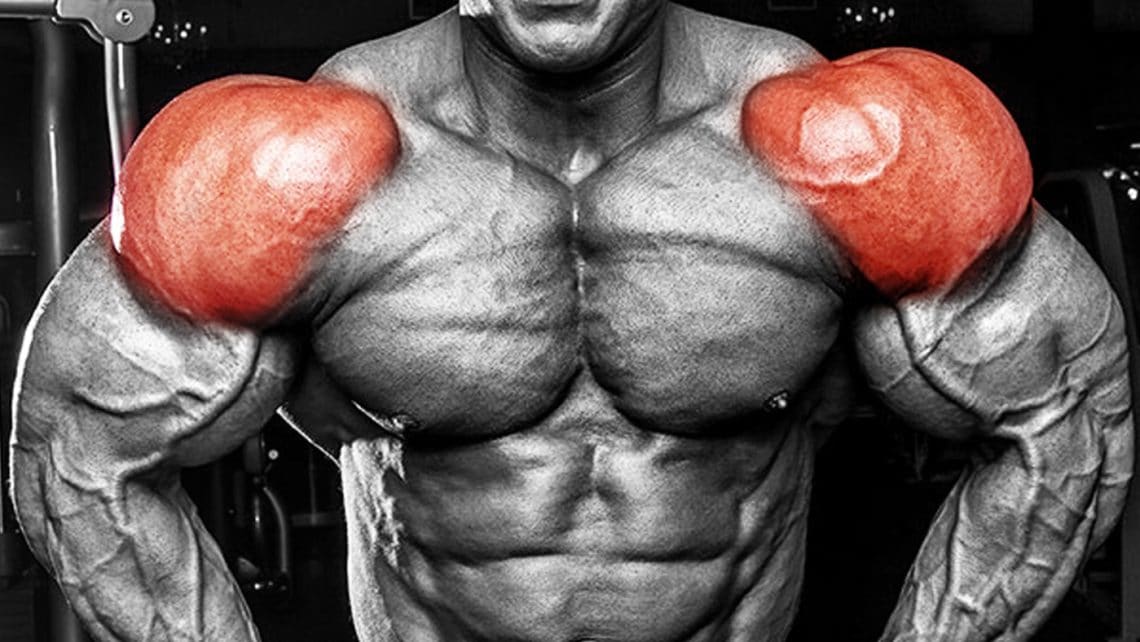 Effective Deltoid Exercises for Stronger Shoulders – Fitness Volt