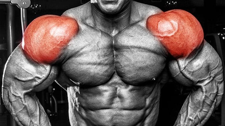 Effective Deltoid Exercises for Stronger Shoulders – Fitness Volt