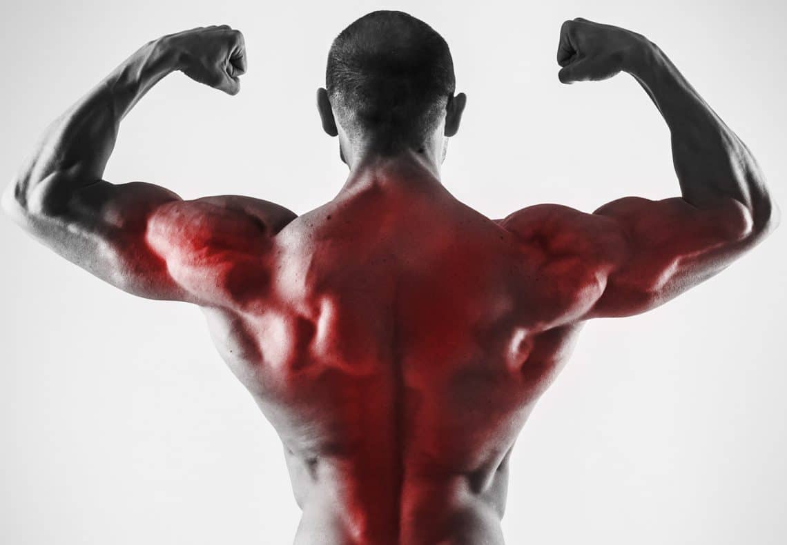 7 Best Back and Biceps Workouts for Strength and Mass – Fitness Volt