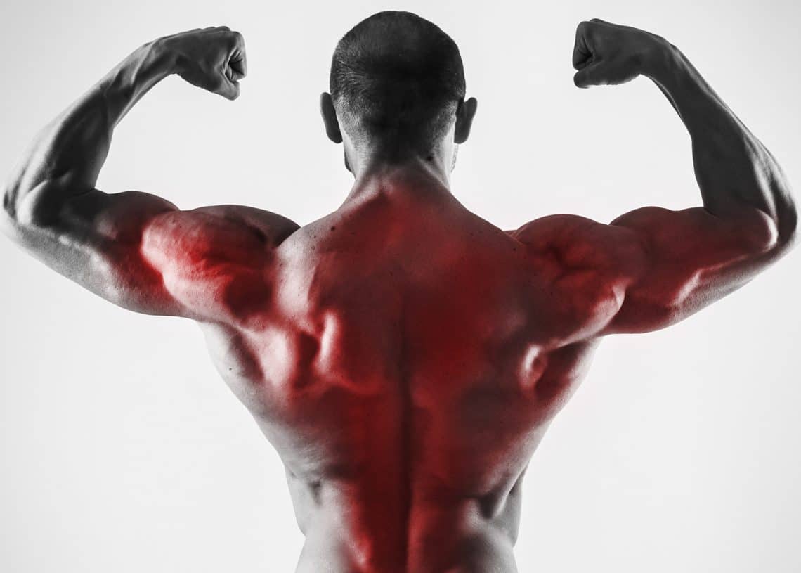 How to Build a Bigger Back From Top to Bottom – Fitness Volt