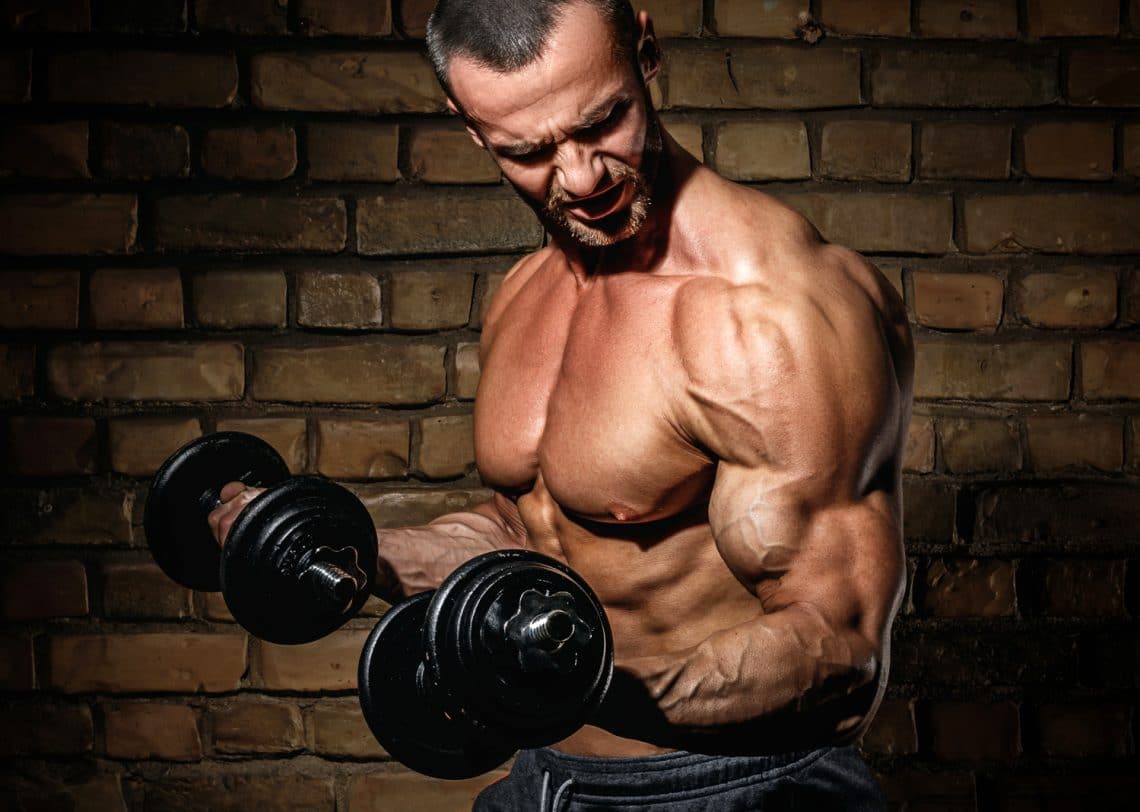 13 Best Pull Exercises To Transform Your Posterior Chain – Fitness Volt