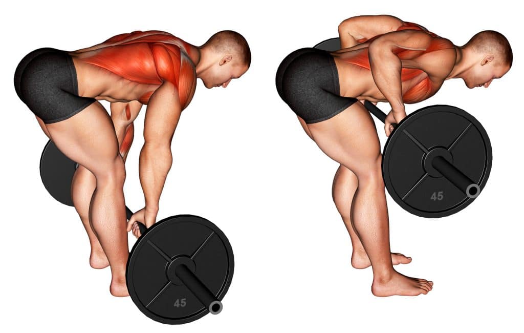 10 Best Middle Back Exercises for Strength, Mass, and Better Posture