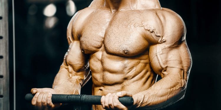 Workouts Archives – Page 12 of 51 – Fitness Volt